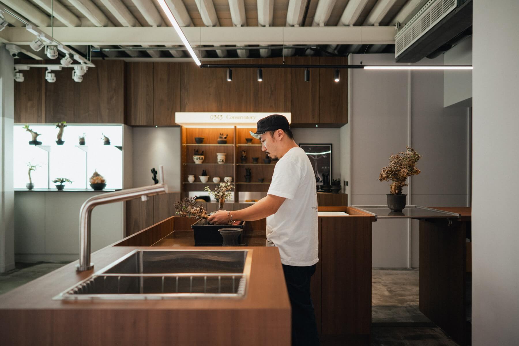 0343 CONSERVATORY台南店：由塊根植物形塑全新的生活文化 - VERSE